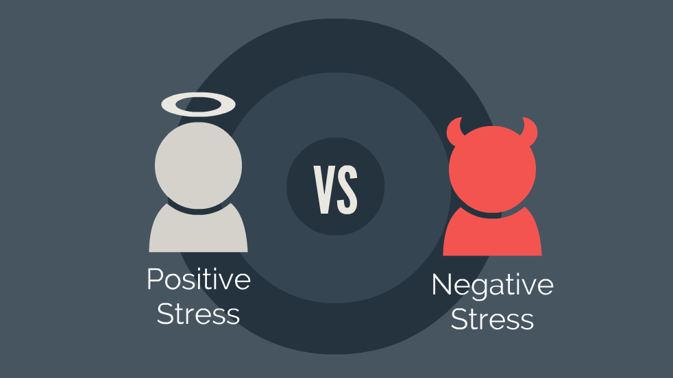 Protect Your Brain From Stress
